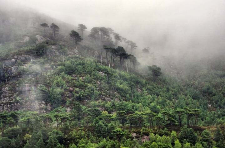 Septicity in sewage and sludge - edie