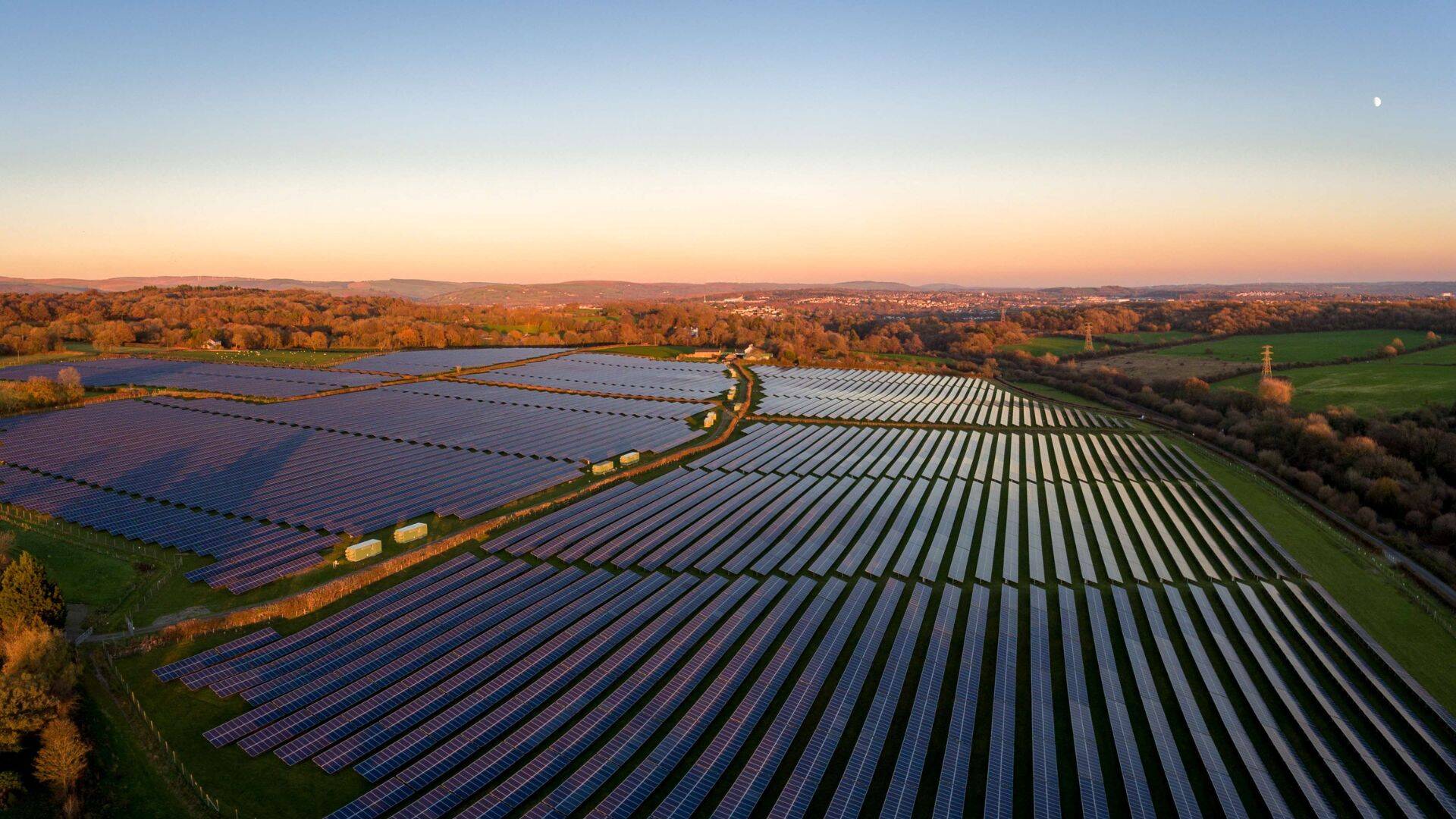 Waifumia hot she cleaned me up and gave me a nice embrace