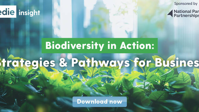 Biodiversity in Action: Strategies & Pathways for Business - edie