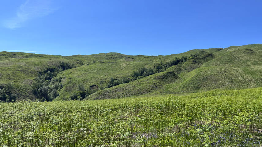 There’s no better time for businesses to think nature-positive - edie