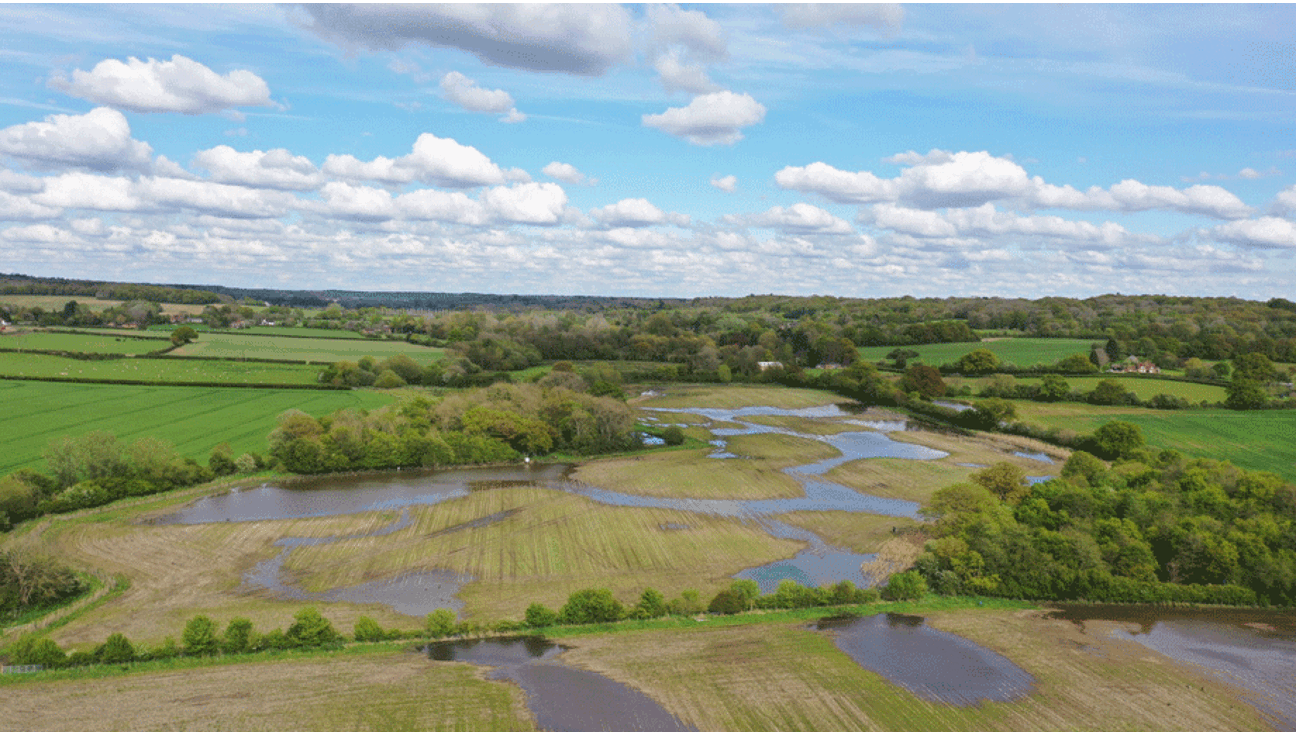 Amazon aims to replenish 200 million litres of water a year with new ...