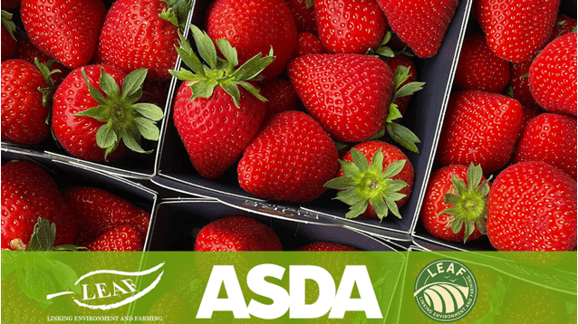 Asda pledges sustainable certification for all fresh produce by 2025 - edie