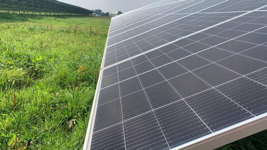 Leadership for net-zero: Engagement strategies to accelerate the clean ...