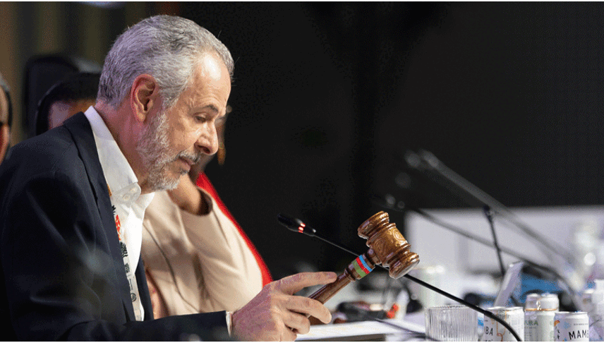 ‘Deeply disappointing’, ‘barely adequate’ or multilateralism at its best? Green economy leaders ...