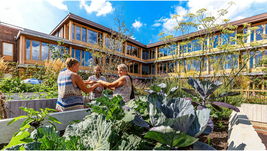 Landscape Cities: Why flourishing nature is essential in urban spaces ...