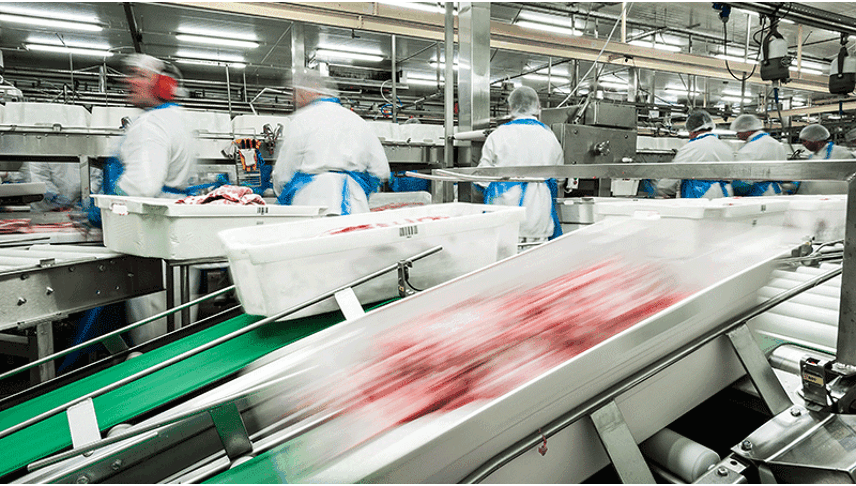 meat processing plant uk