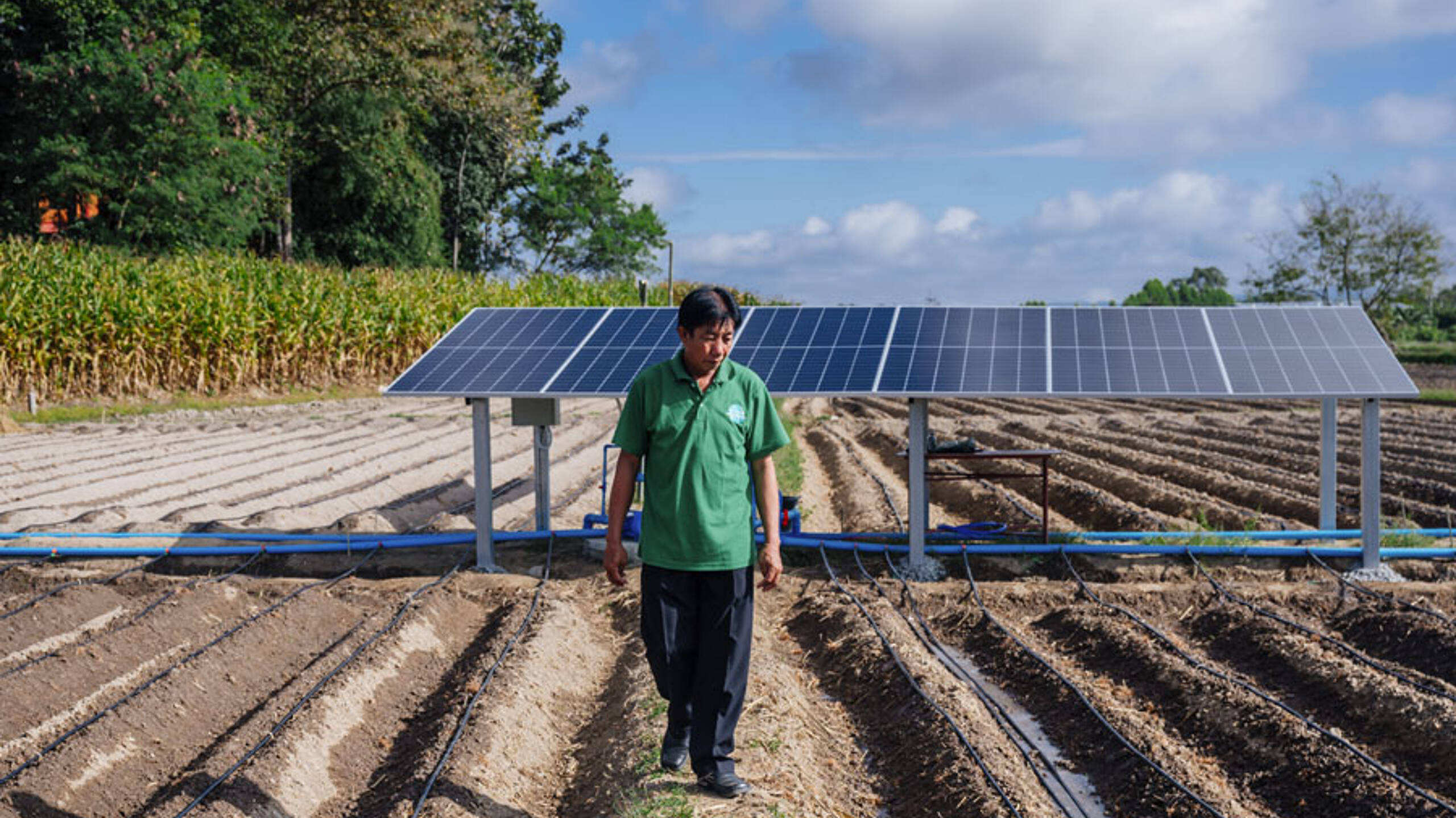 Climate change is decimating crops, but open–source technology may have ...