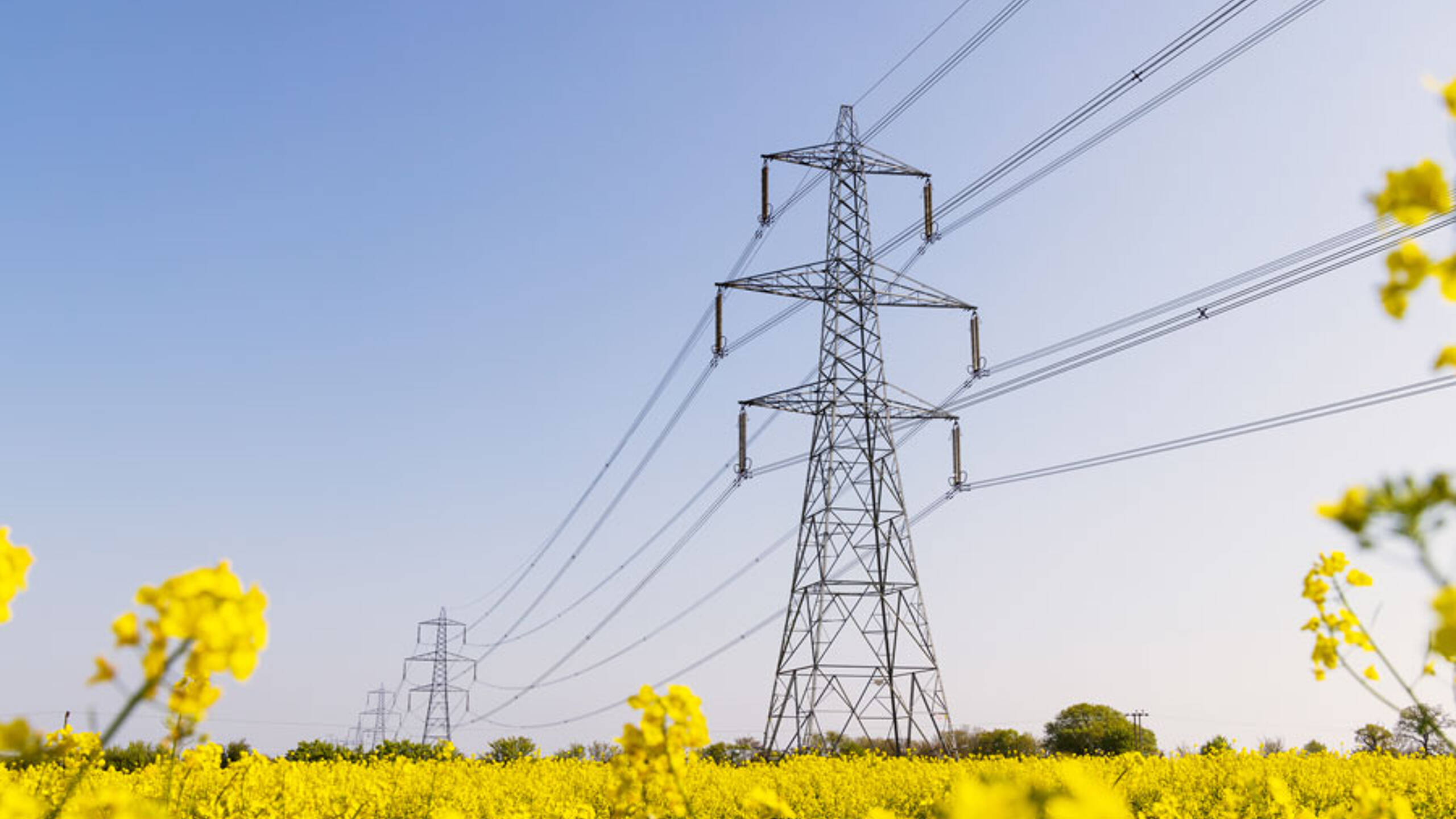 ‘Pounds for Pylons’ scheme goes ahead