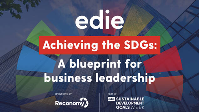 Achieving the SDGs: A Blueprint for Business Leadership - edie