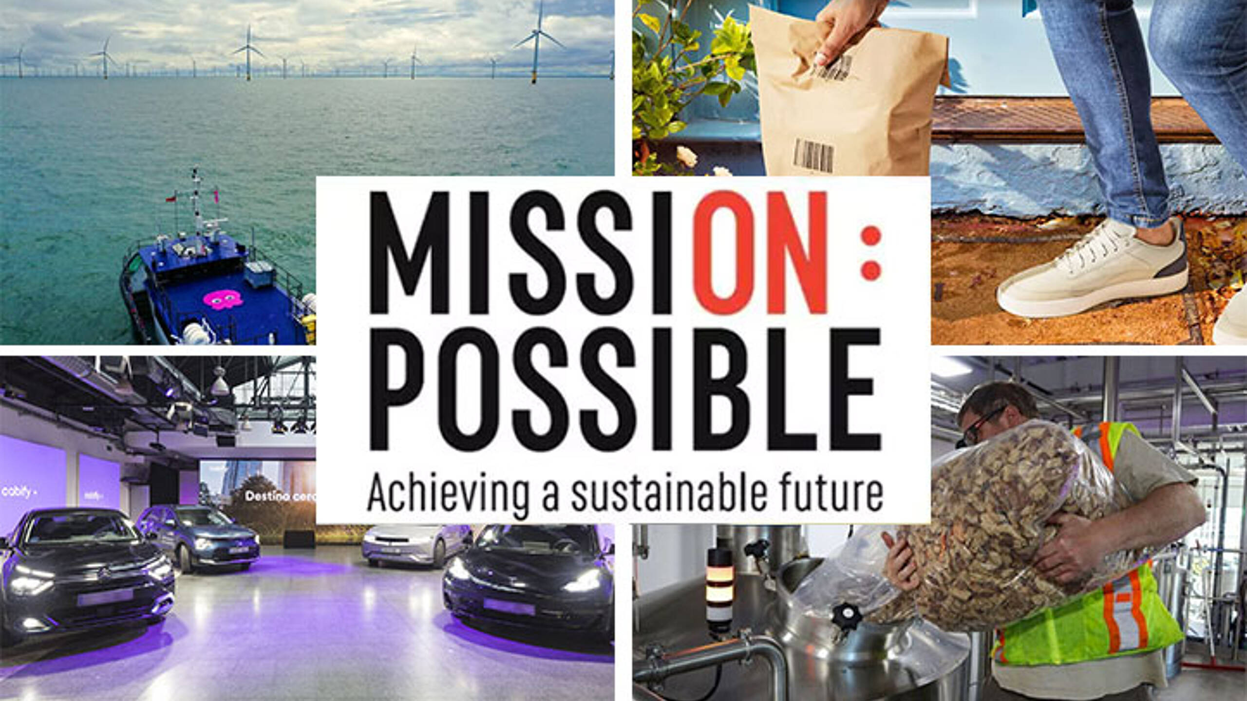 Positive Sustainability Stories: Octopus Energy's £3bn Offshore Wind Fund, Amazon's Recycling ...
