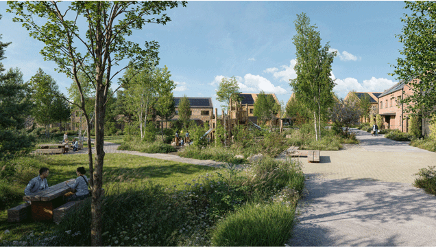 Sowing the seeds of nature recovery: Rethinking biodiversity in the ...