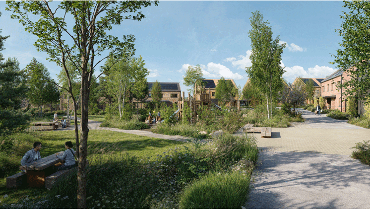 Sowing the seeds of nature recovery: Rethinking biodiversity in the ...