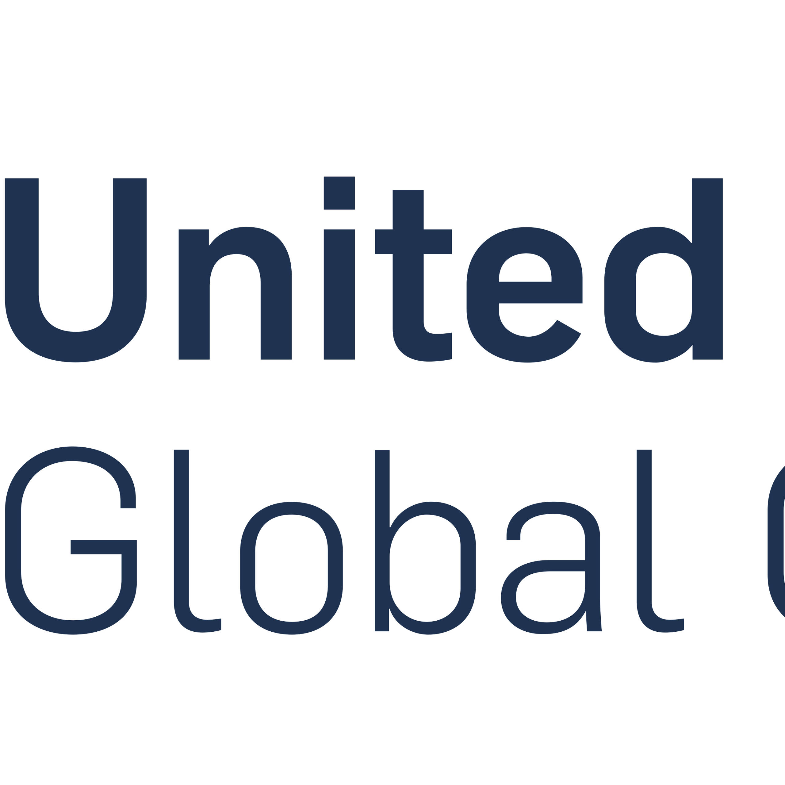 Achieving the Sustainable Development Goals: Private Sector's Role and ...