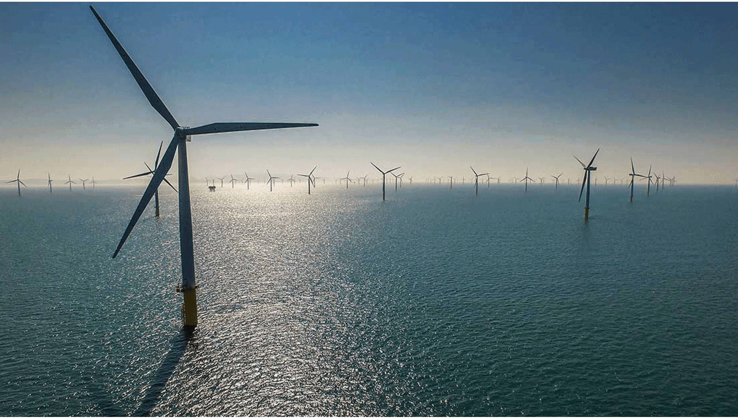 Lidl, Sysco, Natwest & BAE Systems ink renewable PPAs to power UK sites ...