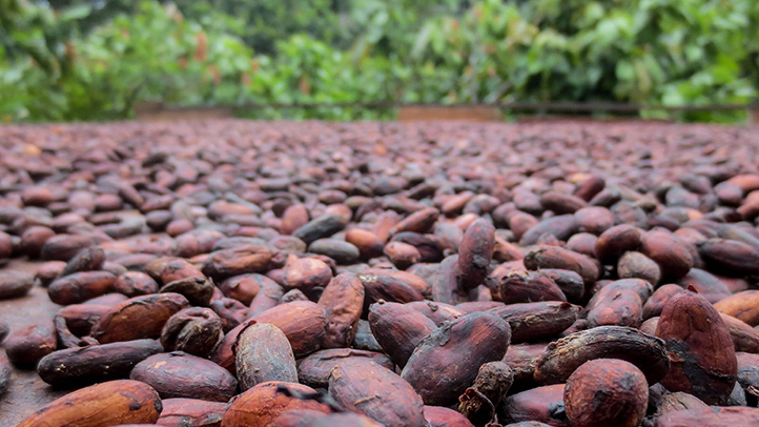 Collaboration for meaningful change: The importance of working with ...