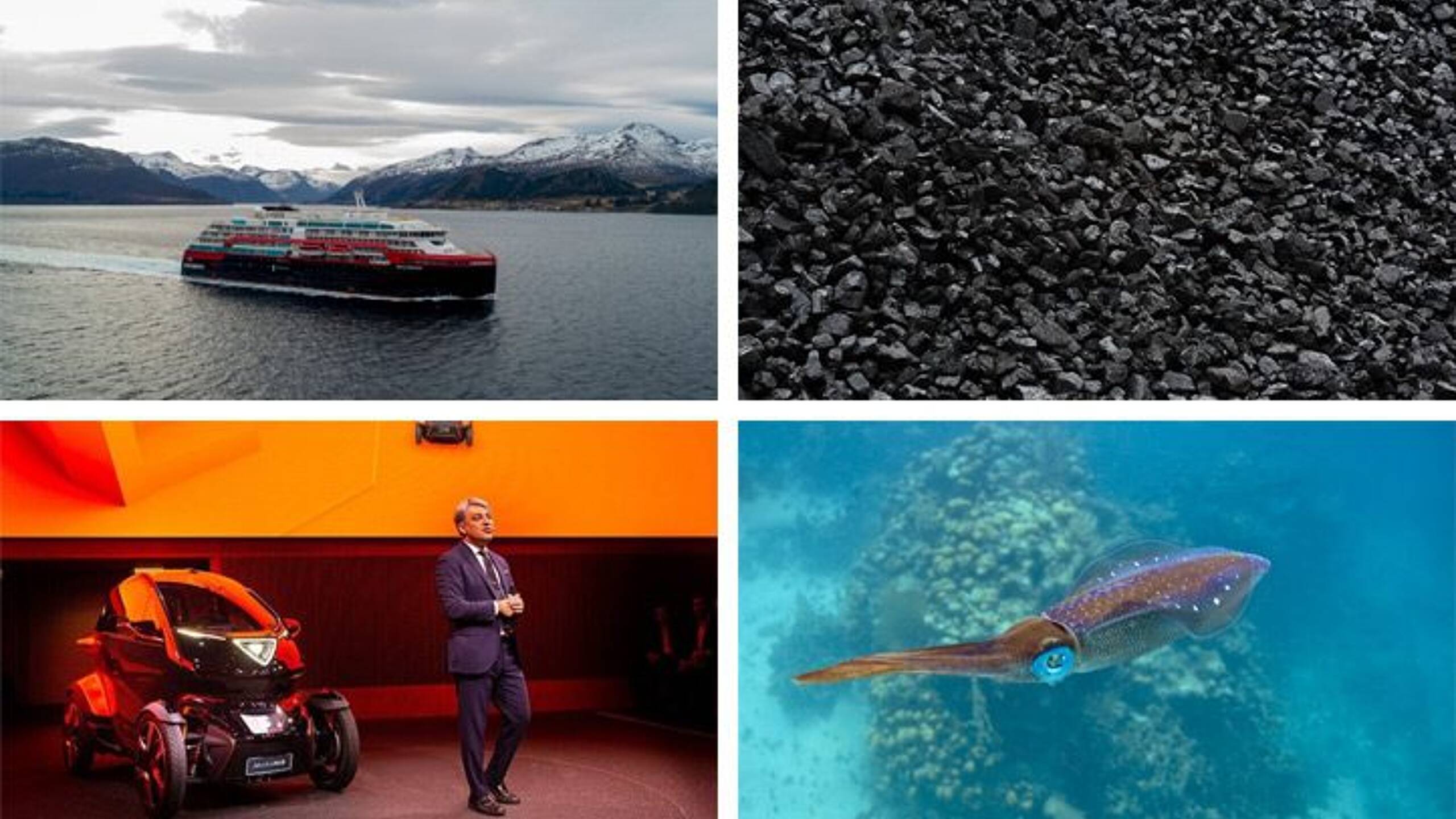 Squid protein plastics and carbon capture breakthroughs: The best green ...