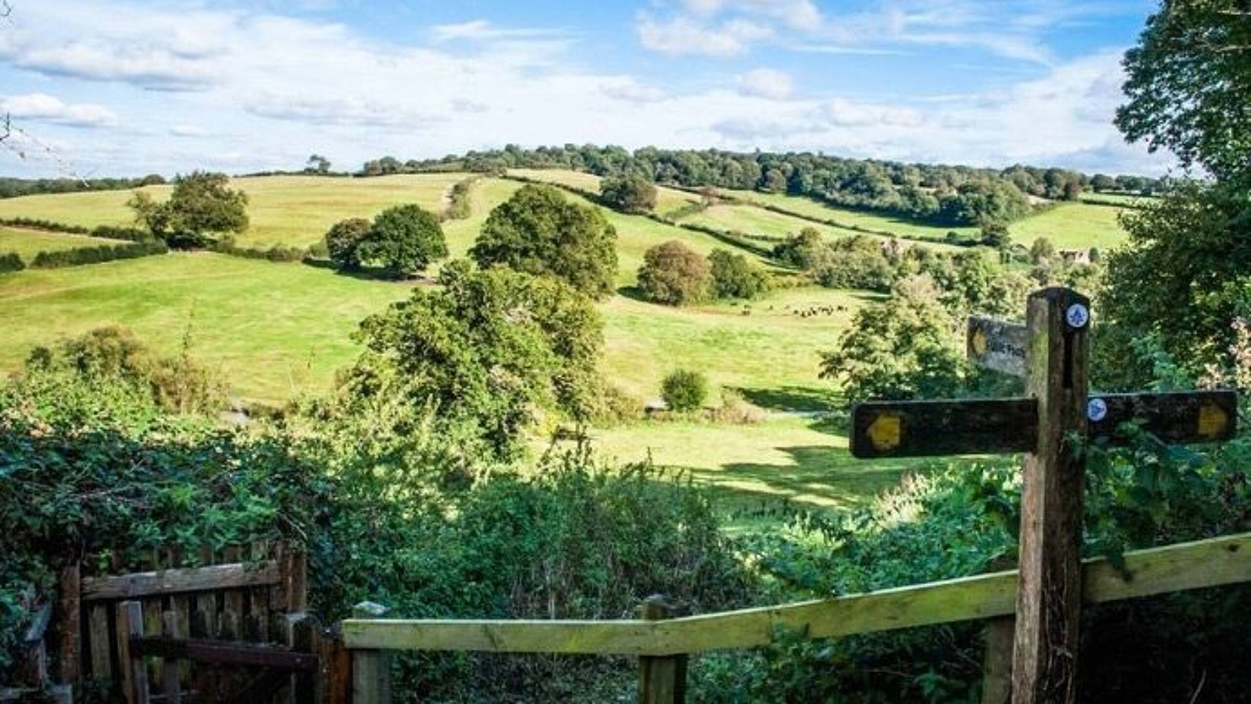 Defra unveils £10m fund for nature-based climate solutions - edie