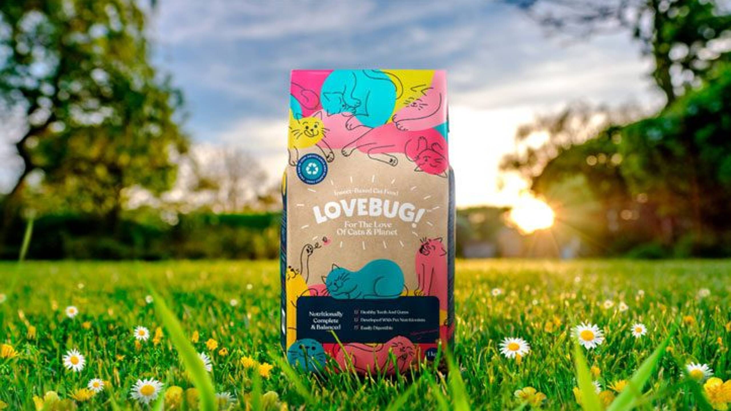 Mars Petcare debuts insect-based cat food and packaging with less ...