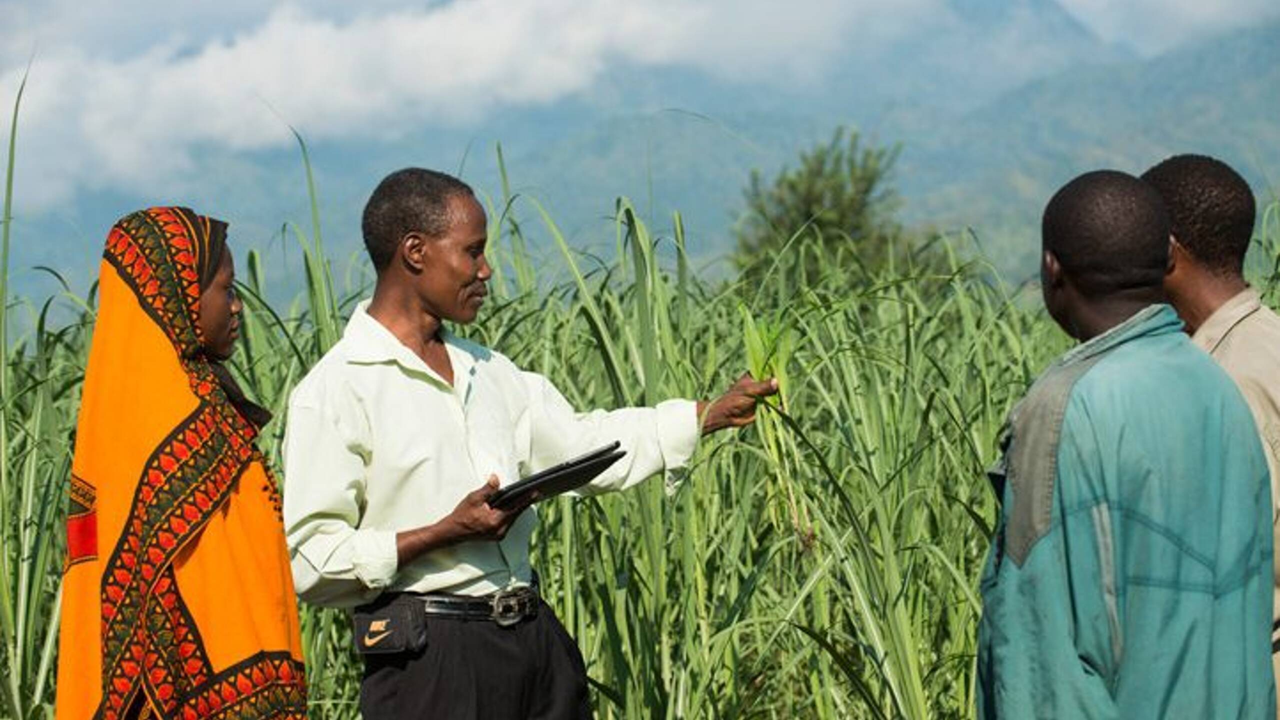 How AB Sugar made sustainability its competitive edge - edie