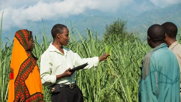 How AB Sugar made sustainability its competitive edge - edie