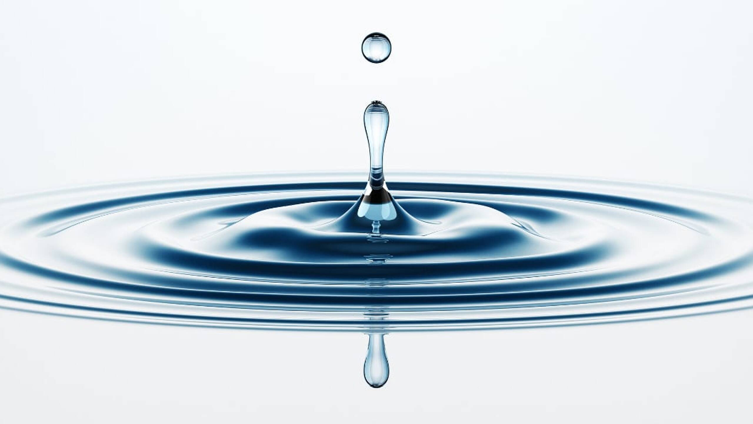 Finalists for Water Industry Awards 2025 unveiled - Utility Week