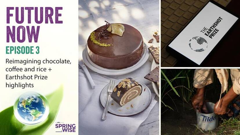 Future Now episode 3: Climate-smart foods, The Earthshot Prize, and ...