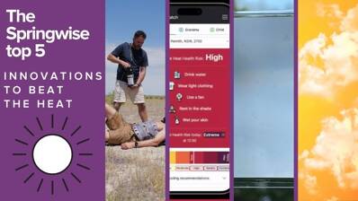 Insight - Springwise