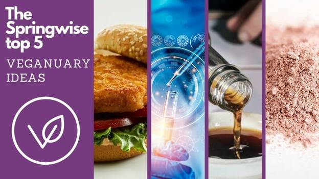 The Springwise Top 5: Plastic Replacements - Springwise