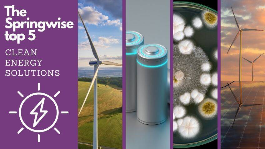 feature - Springwise