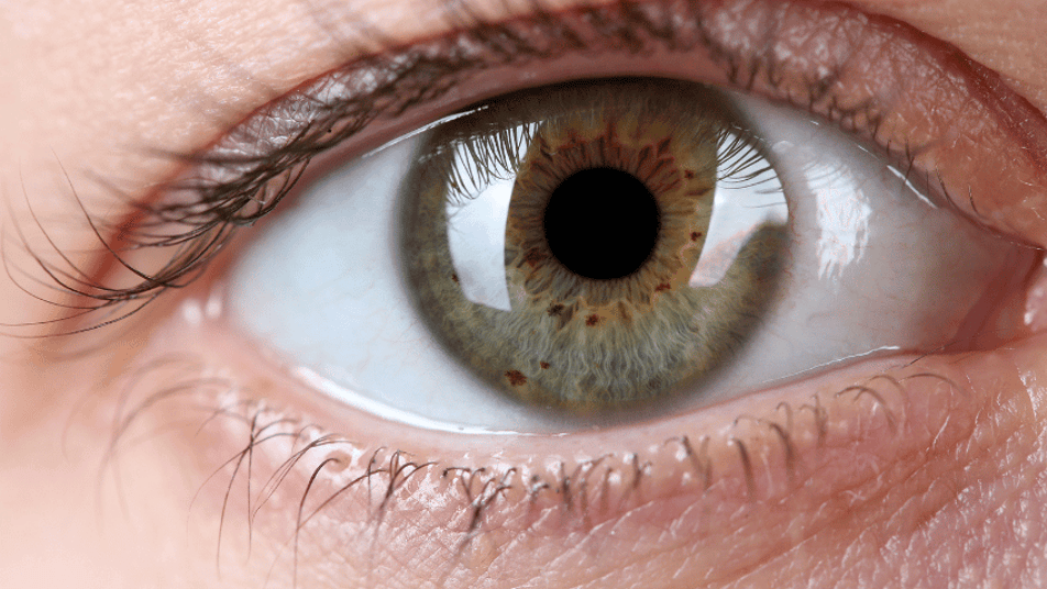 A VR platform brings eye testing into focus - Springwise