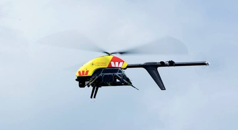 Shark-spotting drone could prevent attacks - Springwise