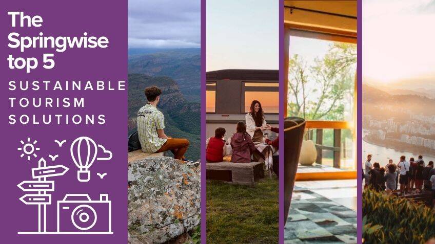 Insights Hub - Springwise